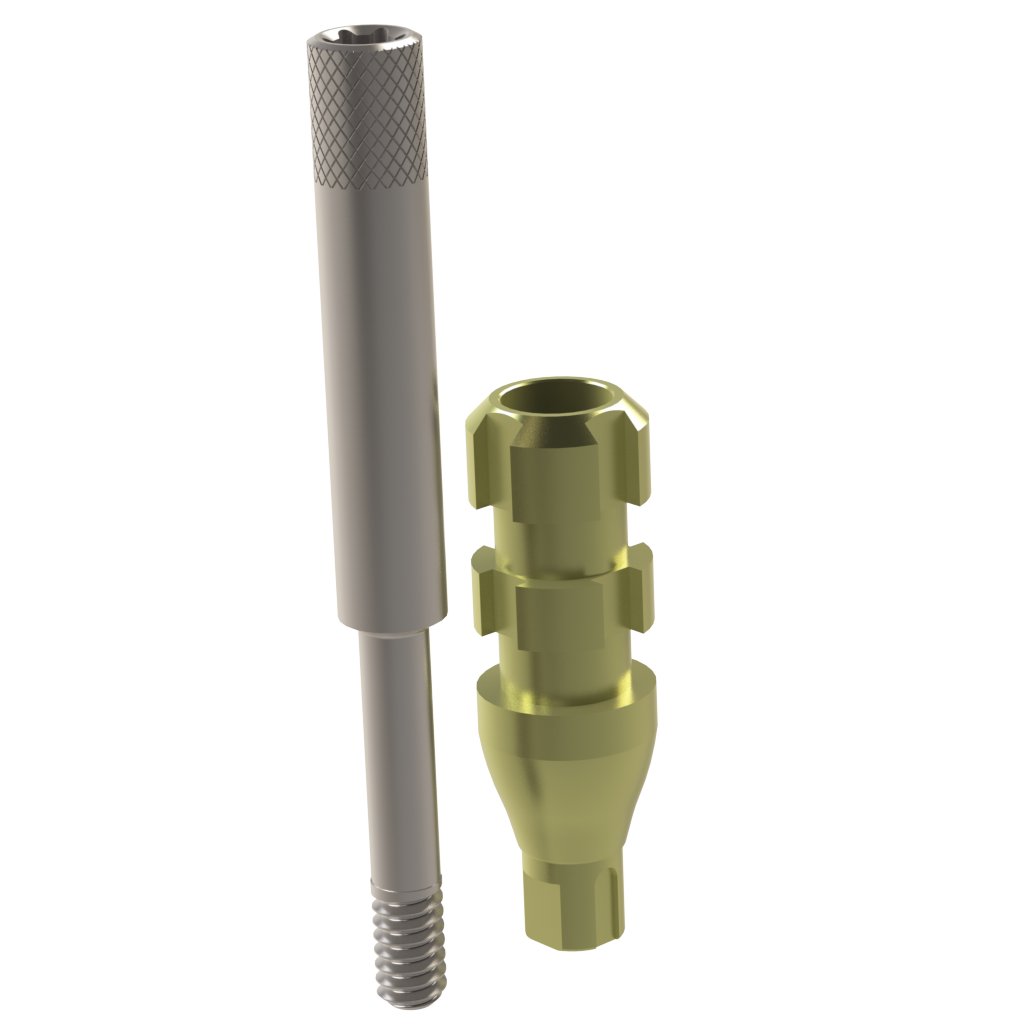 Impression Transfer for Straumann® Bone Level – OrangeCAD USA